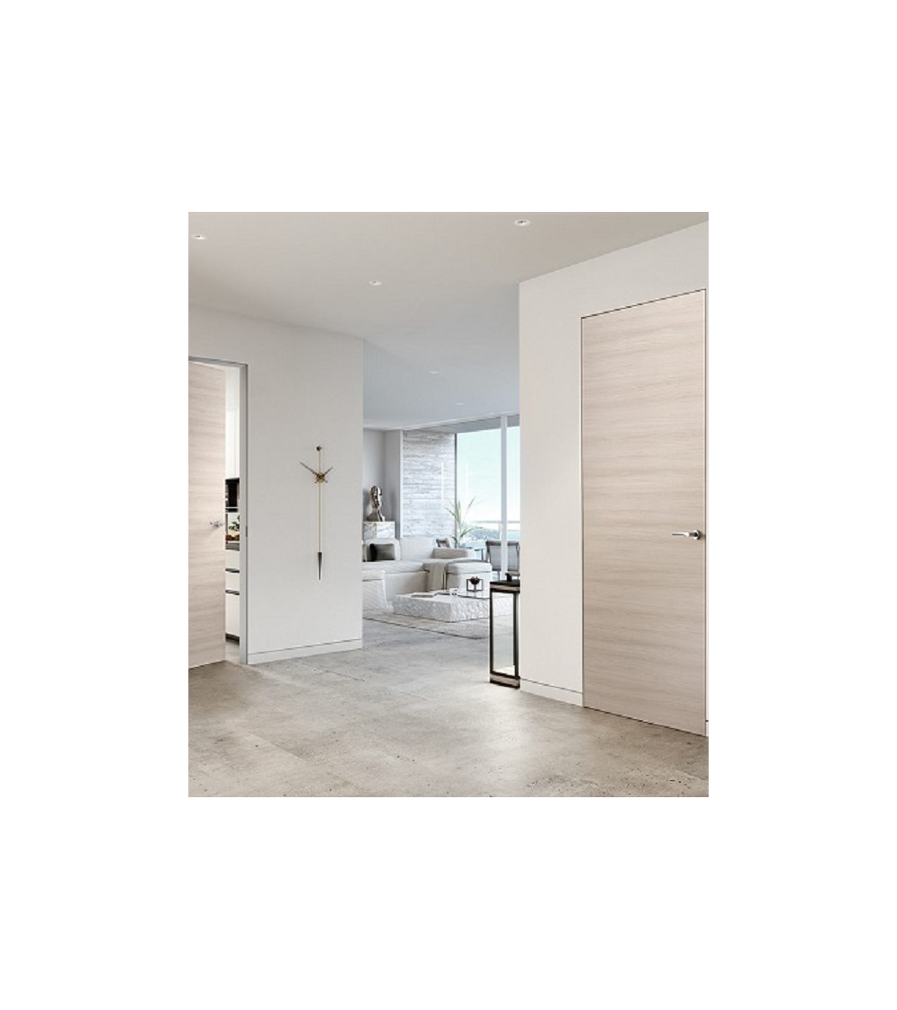 Porte invisible : Une porte discrète pour un intérieur élégant